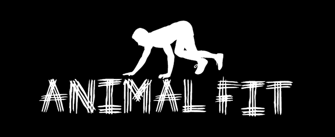 DiR - Newsletter Gener 2017